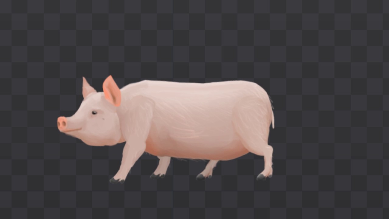 Pig Animations - YouTube
