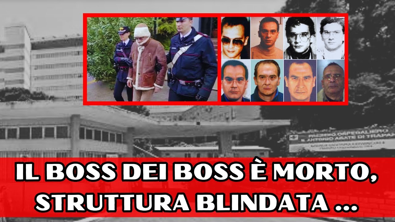 Il Boss dei Boss è morto; sospesa l'alimentazione, struttura ...