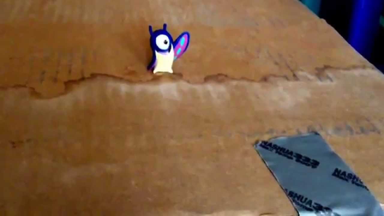 Know your slugs: The Hoverbug - YouTube