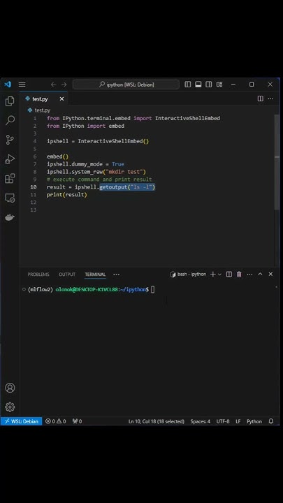 Introduce Una Shell Intereactiva Con Ipython En Tu Código Python Youtube