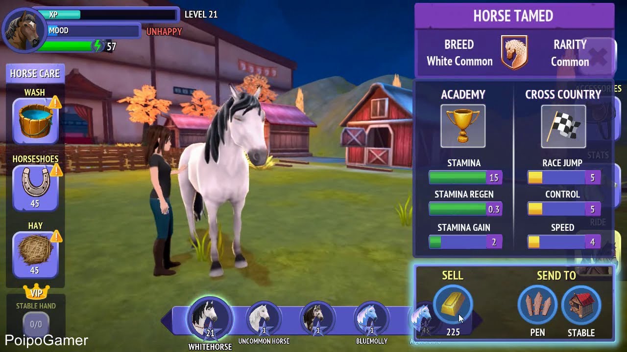 First Tier for QuickSilver Horse Riding Tales Steam - YouTube
