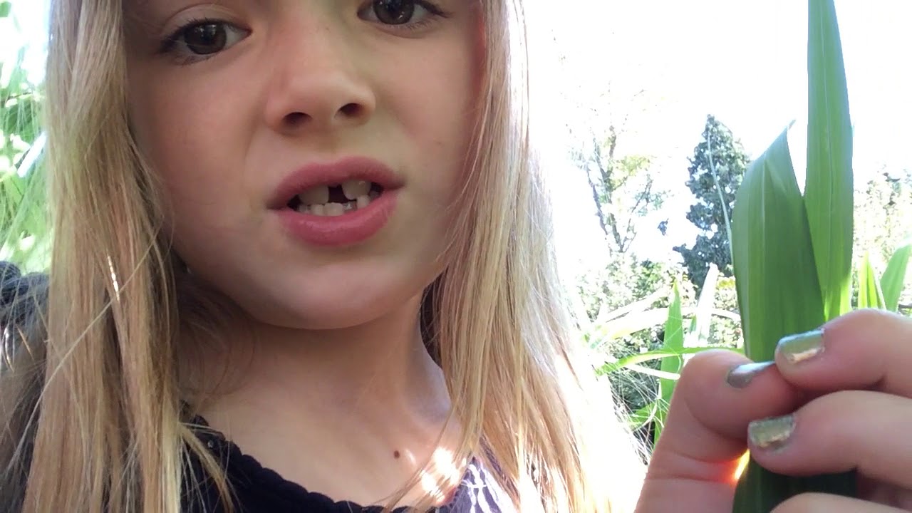 Emma Jungle Clip 1 - YouTube