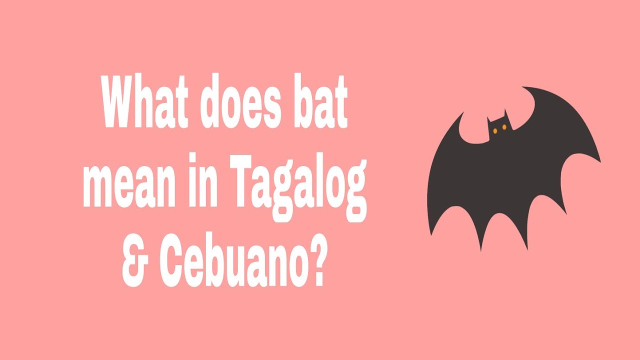 ENGLISH TO FILIPINO: BAT l TAGALOG+CEBUANO TRANSLATION - YouTube