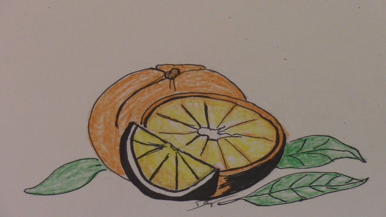 How to Draw an Orange step by step - YouTube