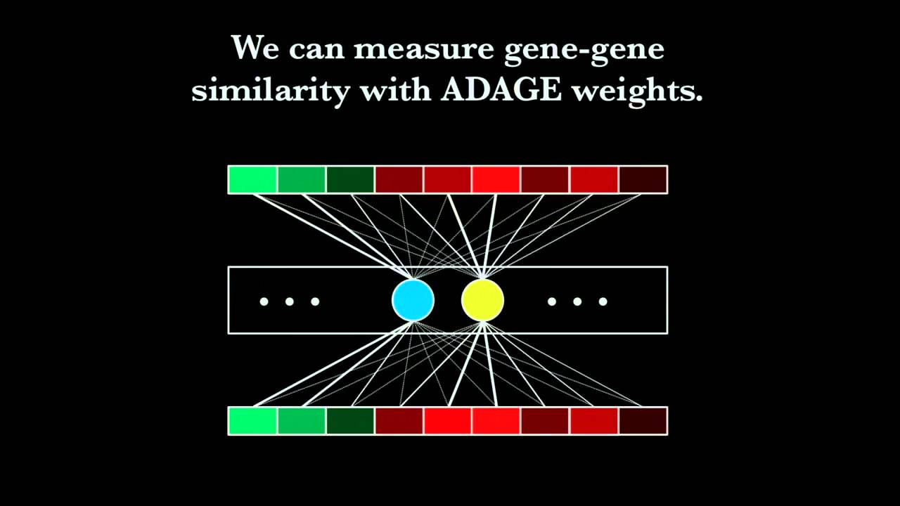 Data Driven "Pathway" Analysis with ADAGE - YouTube