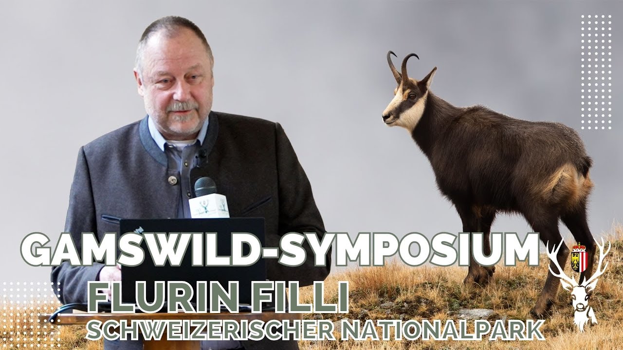 Gamswild-Symposium 2024 | Vortrag Flurin Filli Schweizerischer ...