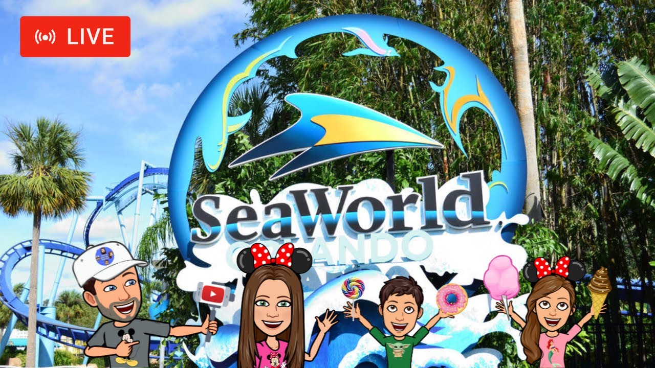 Live: SeaWorld Orlando - Live Stream - Monday FAMILY FUN - YouTube