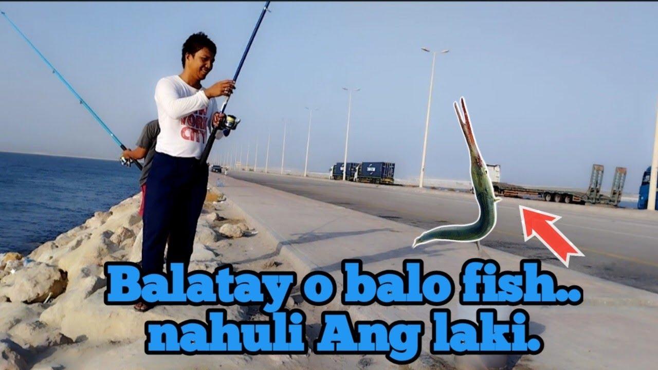 Balatay o balo fish Ang nahuli ng tropa..@AkocDongskieTVJSB161979 - YouTube