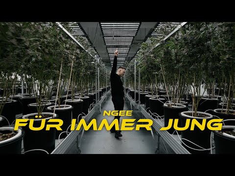 NGEE - FÜR IMMER JUNG