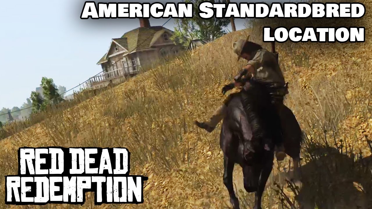 RDR 1 - American Standardbred Location - YouTube