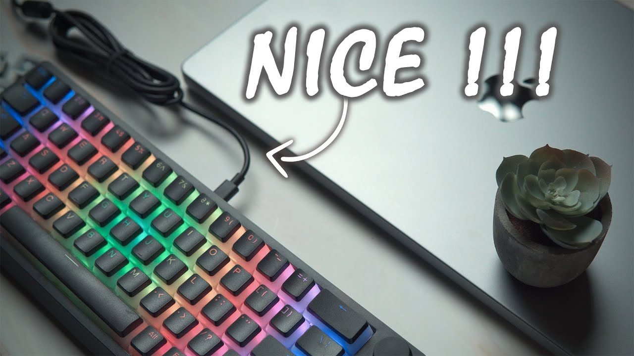Budget Mechanical Gaming Keyboard Duo | AEON Gaming Sentry & Striker ...