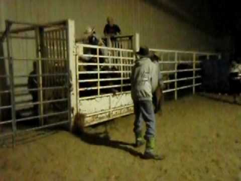 First Bull Ride - YouTube