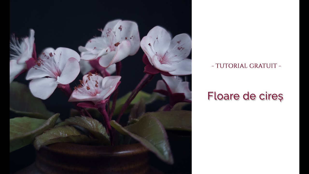 Tutorial Gratuit - Floare de cires - YouTube