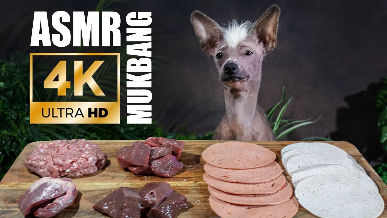 ASMR Shakira Eating Raw Beef Liver, Lamb Minced , Diced Lamb, Delli ...