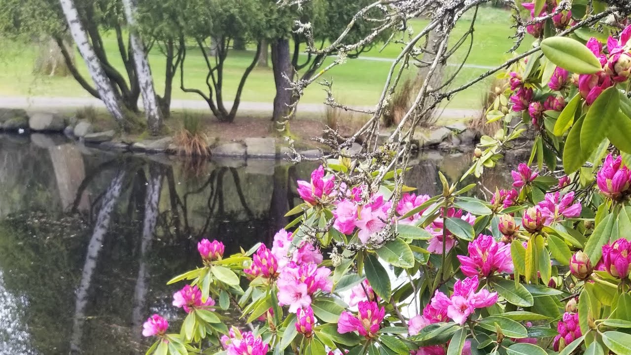 Point Defiance Park Walk - YouTube