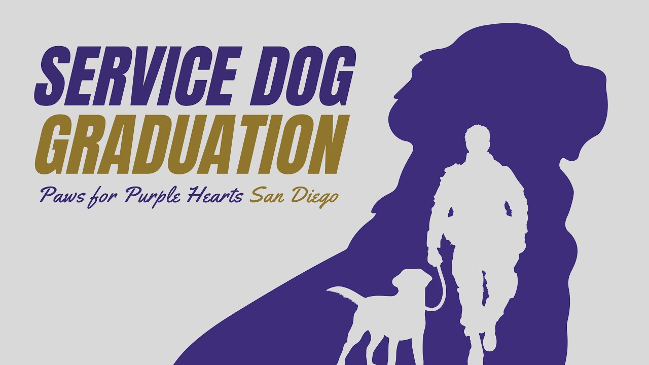 Purple Hearts For Paws Logo Paws For Purple Hearts: Healing Heroes
