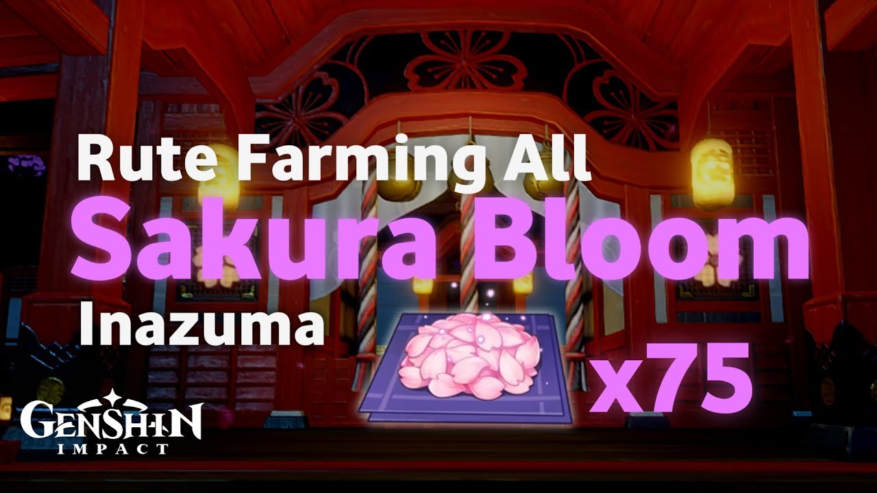 Panduan Farming Sakura Bloom di Inazuma | Panduan Genshin Impact - YouTube
