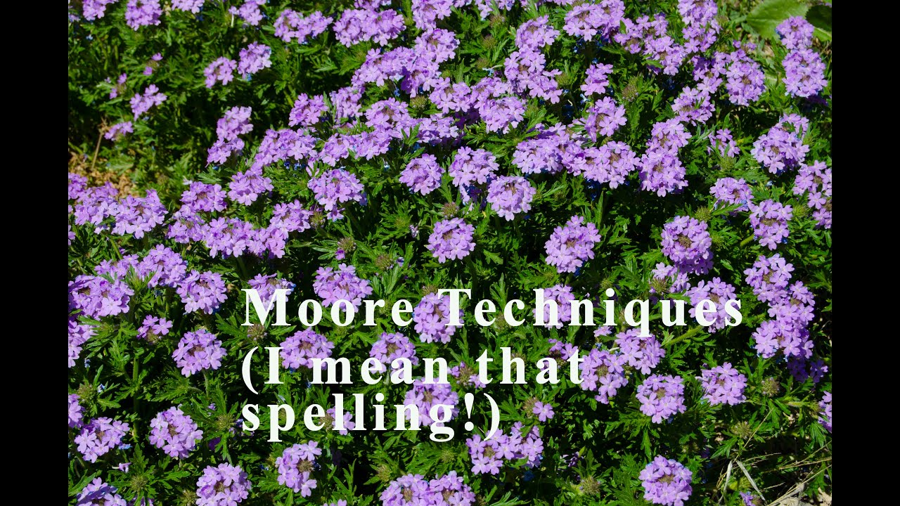 Moore Techniques - YouTube