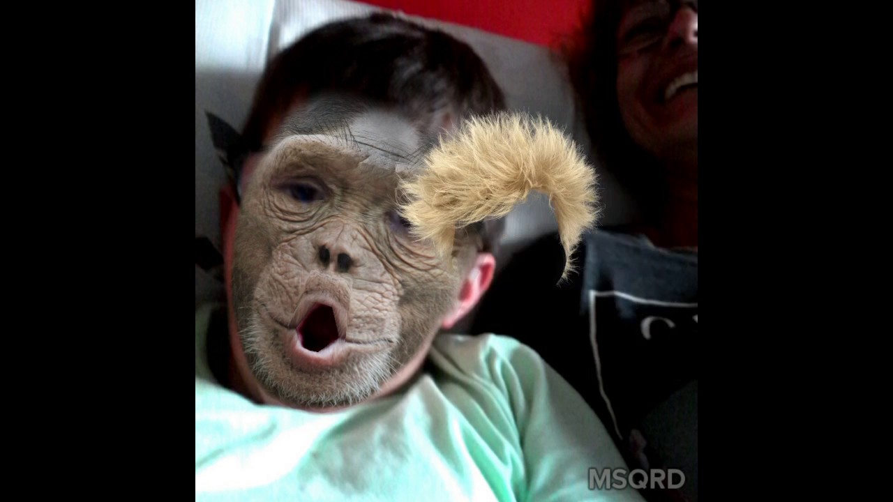 Aiuto lo scimmione è impazzito - YouTube