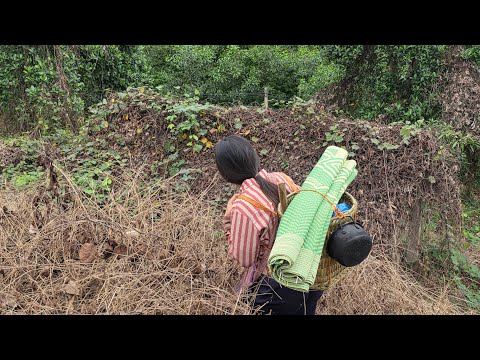 Kısır Bir Kadın Terk Edilmiş Bir Ev Keşfediyor – Hayatı Sonsuza Dek Değişiyor.