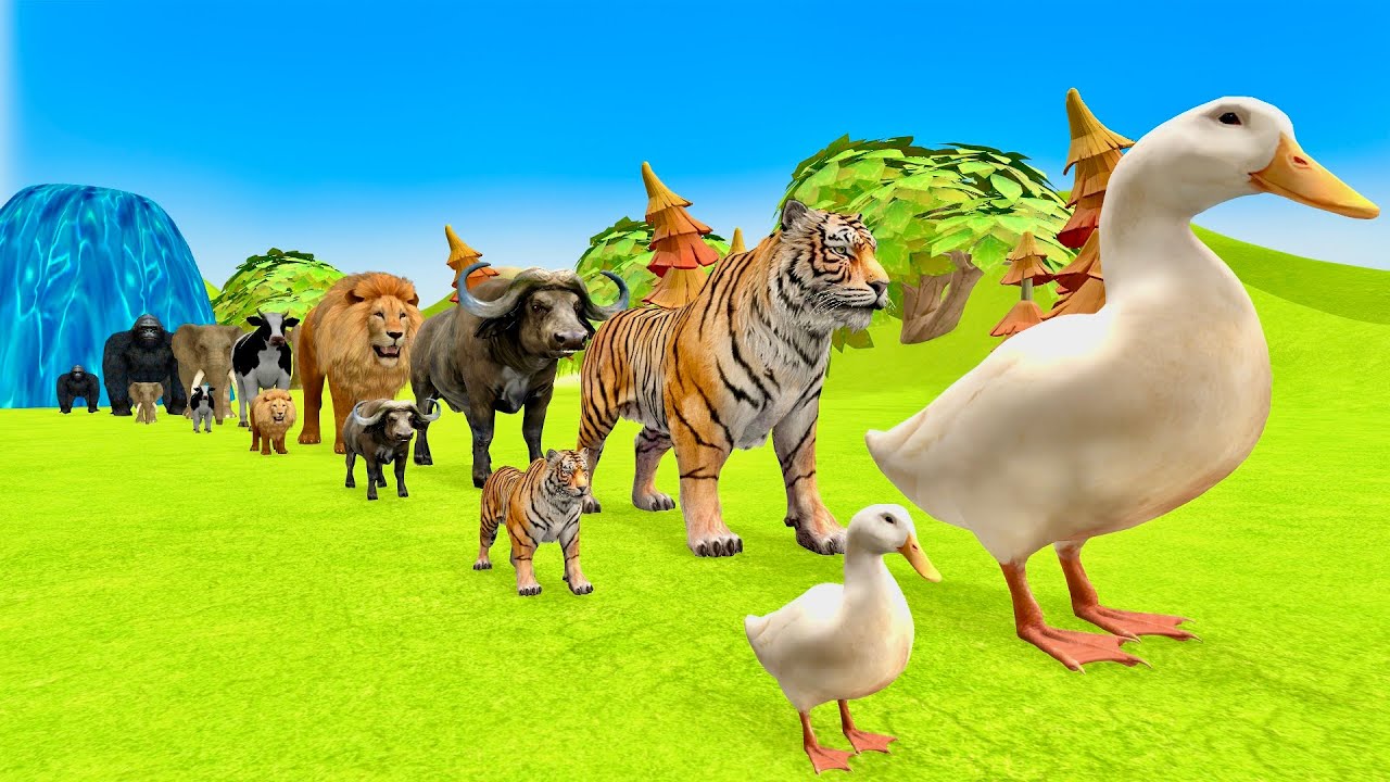 Long Slide Game With Cow Elephant Gorilla Hippopotamus Tiger 3d Animal ...