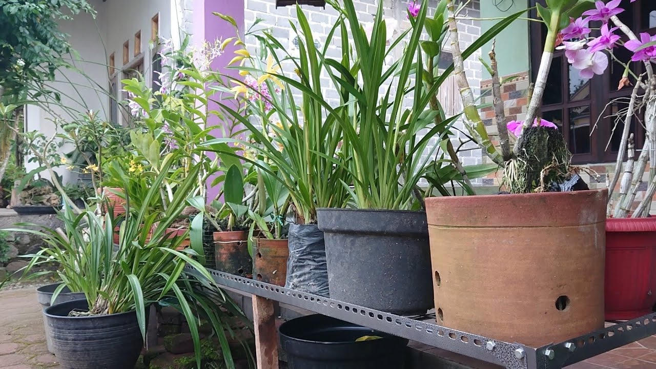 Pas 300 ribu,Membuat rak Pot bunga anggrek dari baja ringan agar aman ...