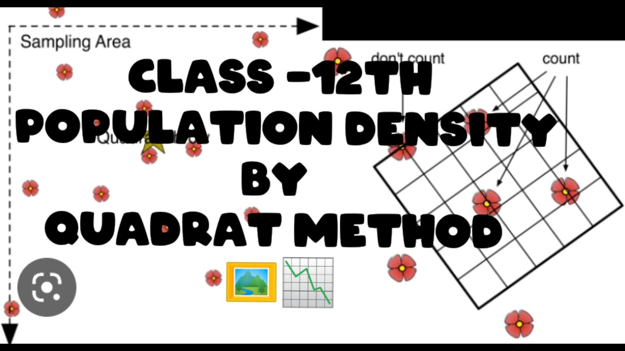 Class 12th Biology population density by quadrat method | #biology # ...