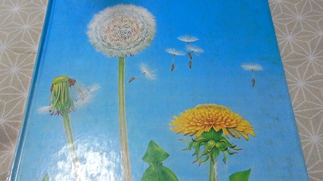 Dandelions Loved in Japan - YouTube