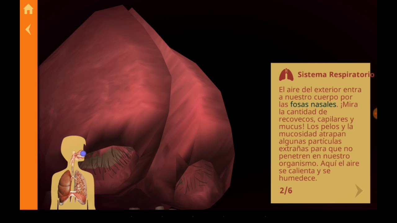 Arloon Apps Anatomy - YouTube