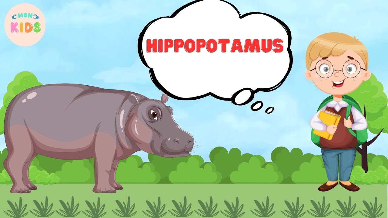 Hippopotamus Facts For Kids 🤠 Learn All About Hippos | MON Kids - YouTube