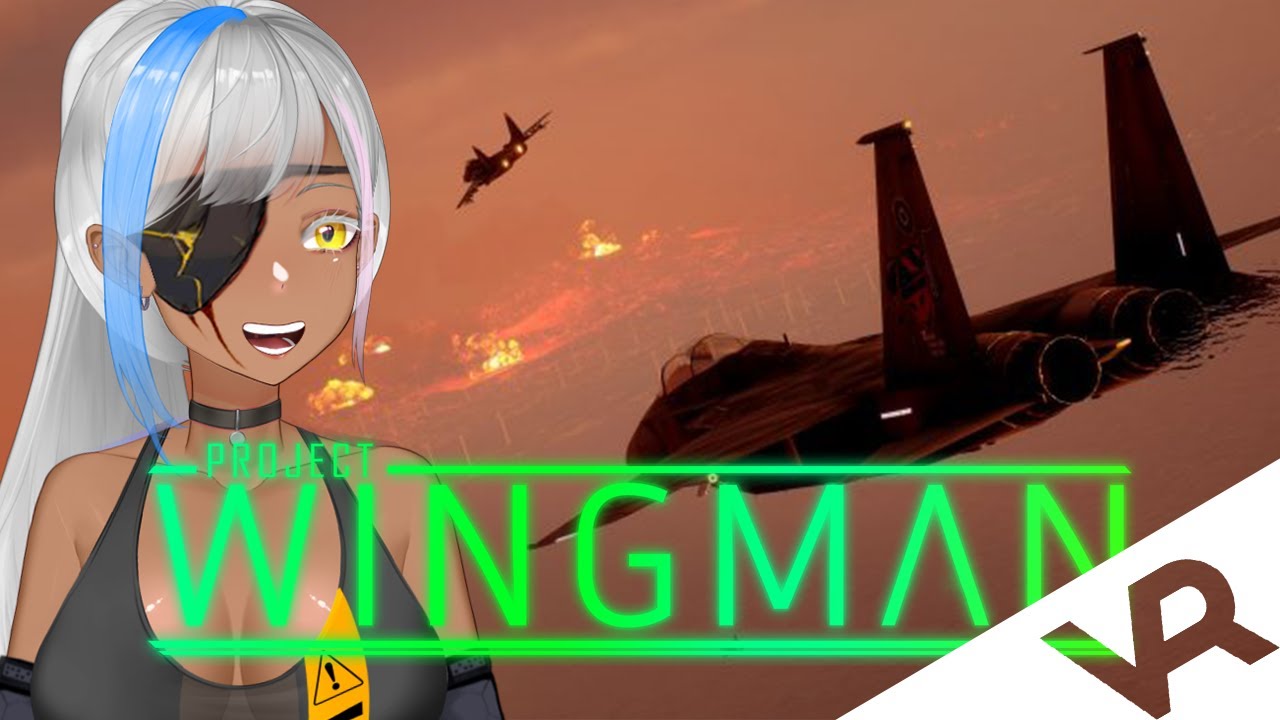 This is it, the final stretch, the nail in the coffin | Project Wingman ...
