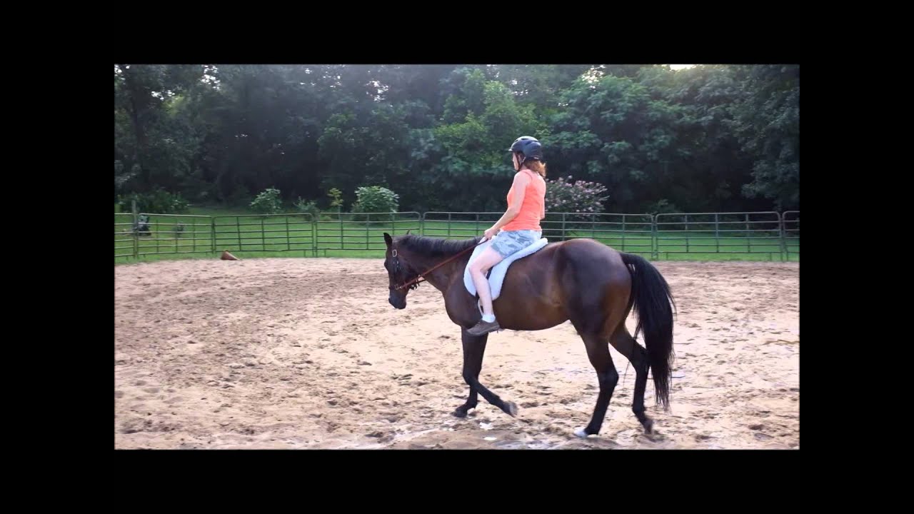 Summer evening with Zebadiah - YouTube