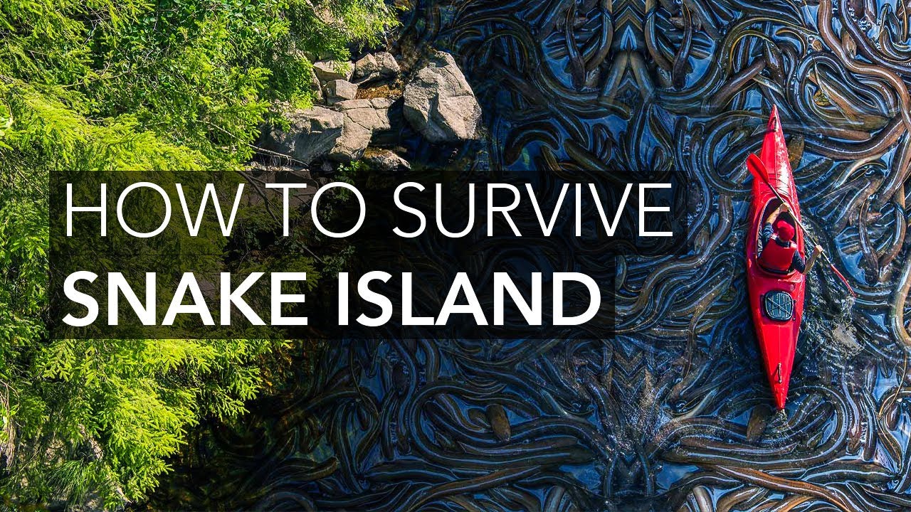 How to Survive Snake Island - YouTube