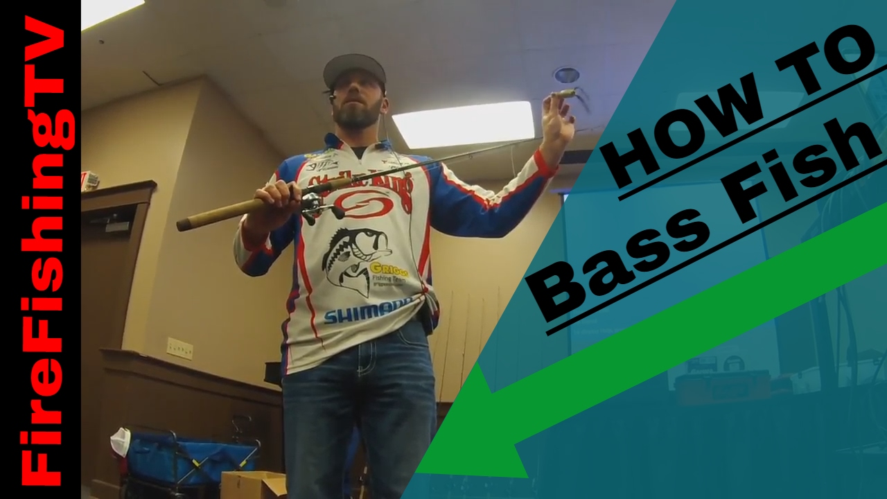 Bass Fishing Basics, How to bass fish for beginners from the sportsman ...