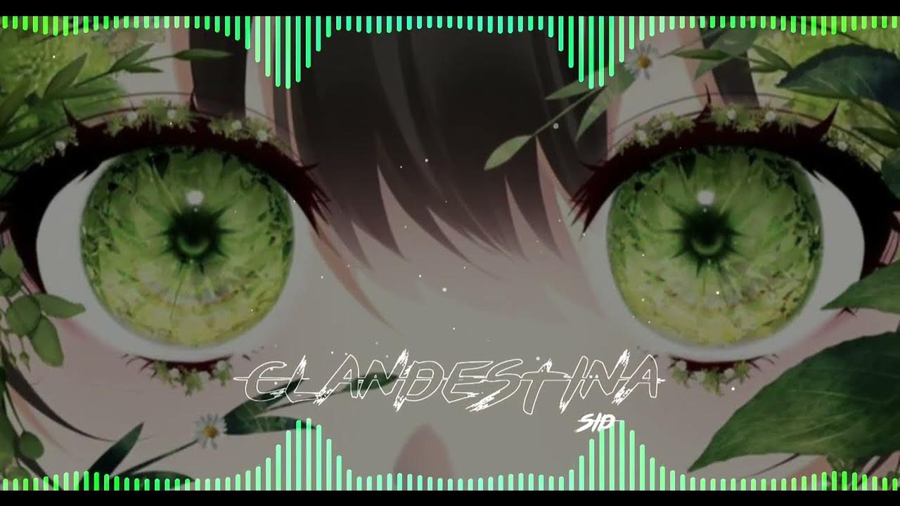 CLANDESTINA💚 | SID's CREATION - YouTube