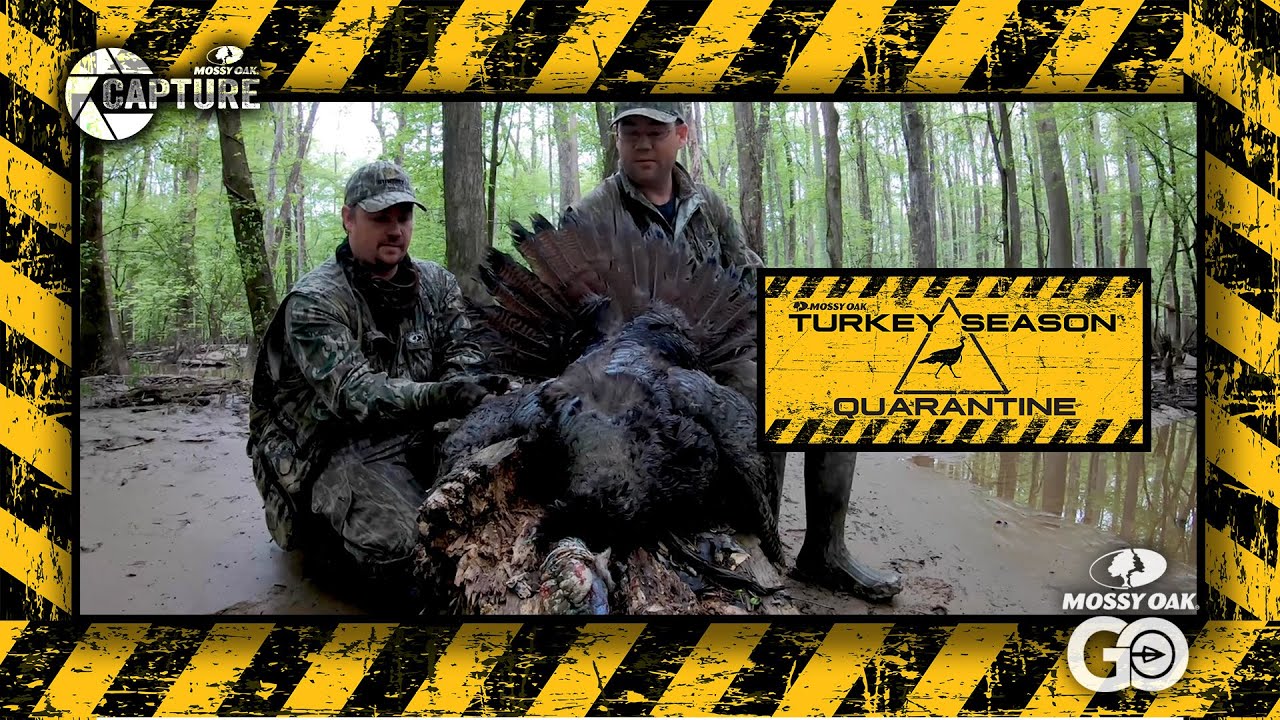 Public Swamp Bird • Turkey Season Quarantine - YouTube