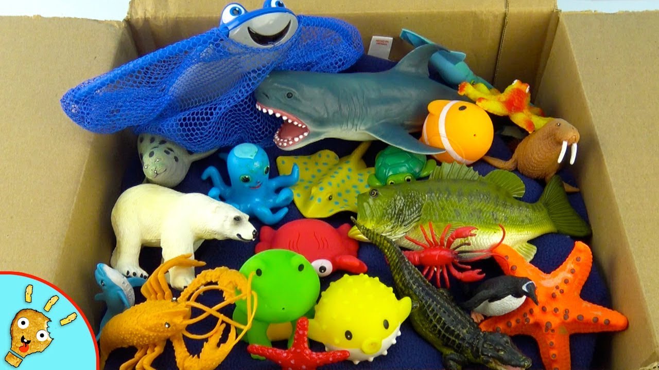 Learn OCEAN Animals Names and Colors with Toys in Box by Squishee ...