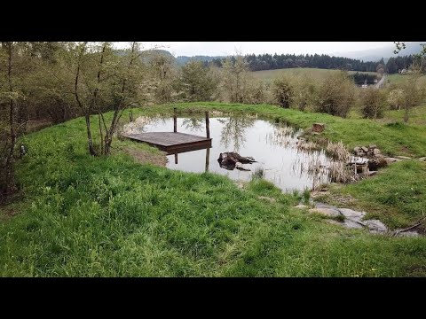 Restoring Water to the Farm Part 1 (Natural Swimming Pond) - Elemental ...