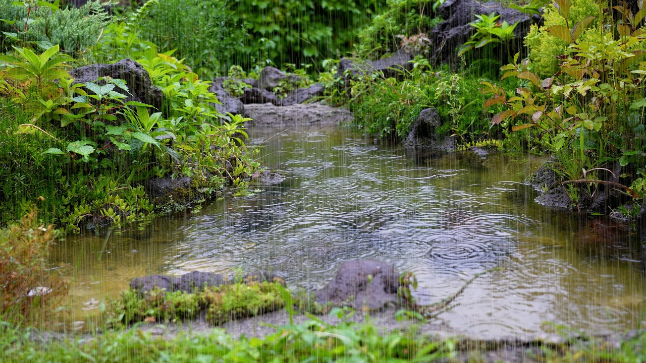 The sound of rain falling on a small pond that overcomes insomnia and ...
