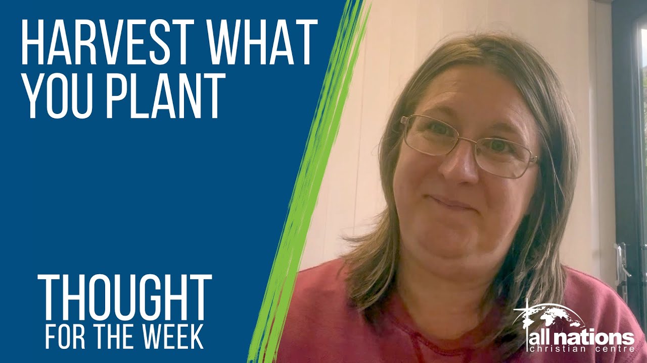 Harvest What You Plant | Thought For The Week - YouTube