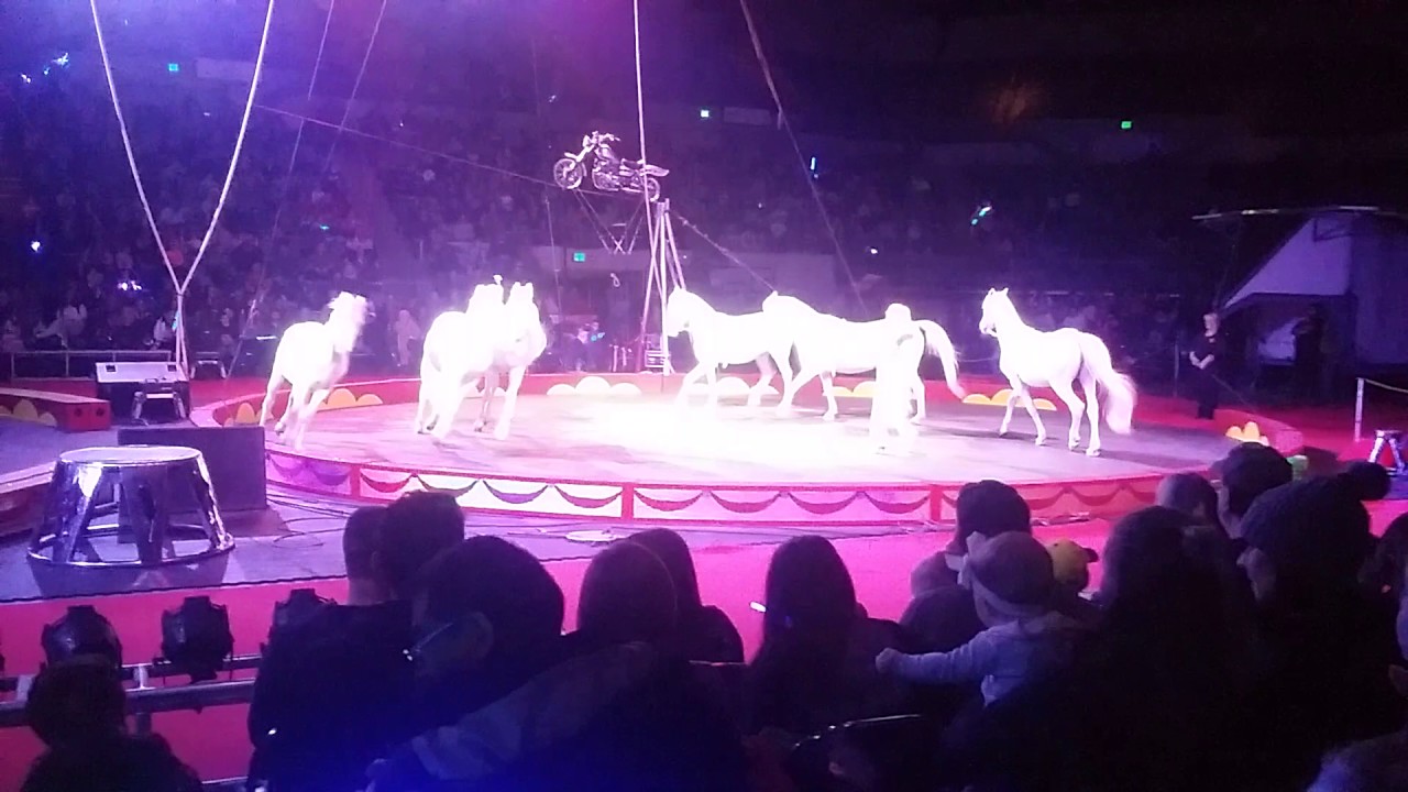 Shrine Circus 2017 (2) - YouTube