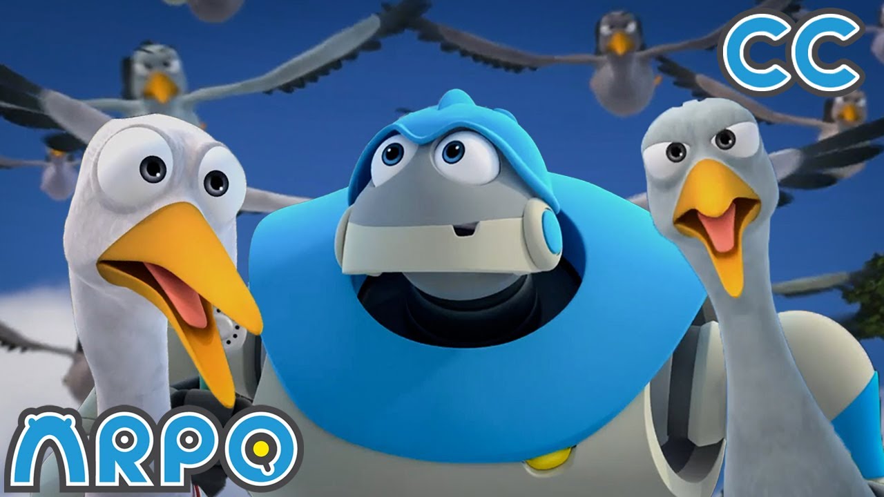 Attack of the Birds! 🐔ARPO Saves Daniel! | ARPO the Robot 🔤 Subtitled ...