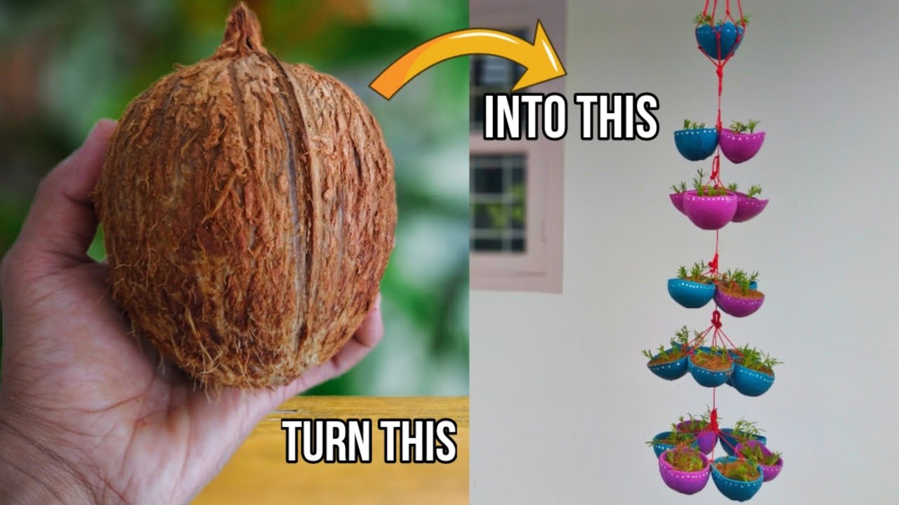 How to make hanging pots using coconut shell | Gardening ideas| Hanging ...