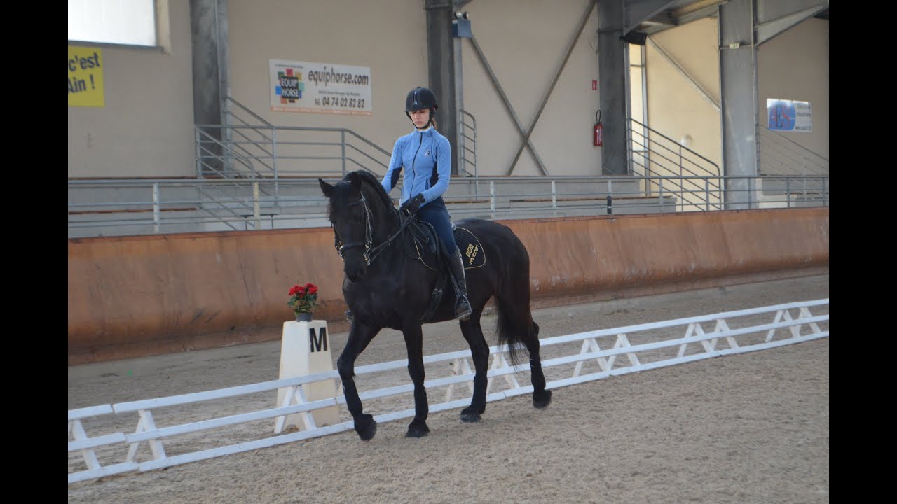 Arabo-frison dressage février 2019 - YouTube