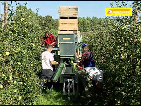 Pluk -O- Trak Senior & Junior - YouTube