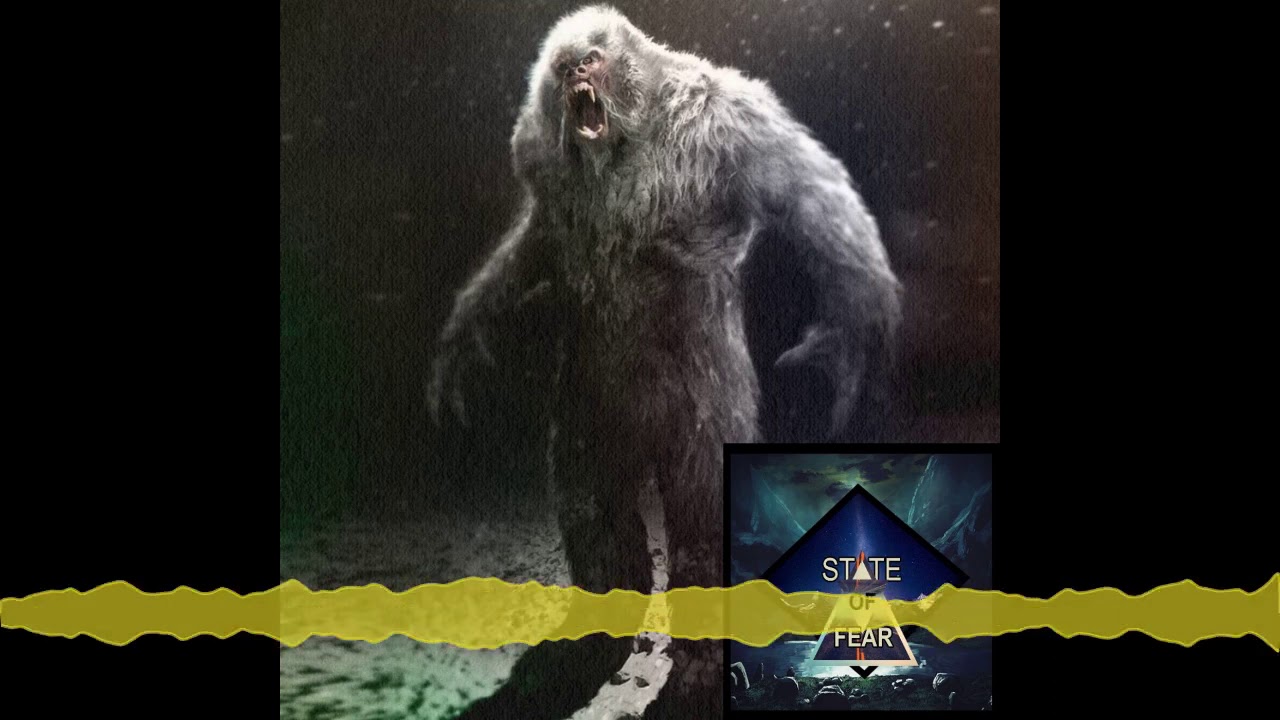 Episode 43 - Tennessee: White Bluffs Screamer/Werewolf Springs - YouTube