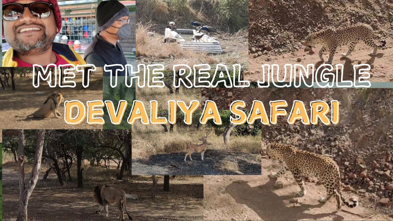 DEVALIYA JUNGLE SAFARI - MEET THE REAL JUNGLE - YouTube