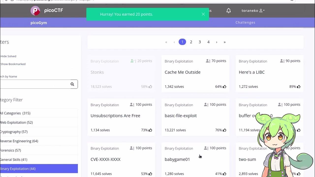【picoCTF】Stonks writeup【pwn】 - YouTube