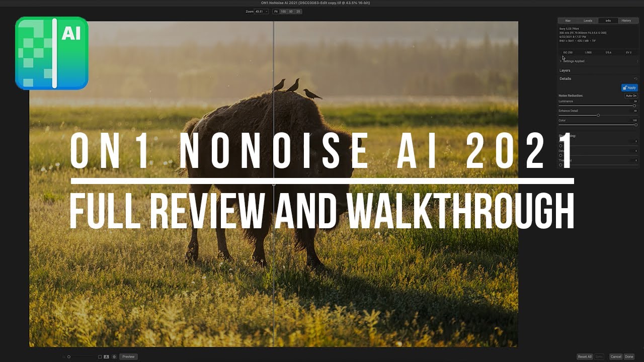 On1 NoNoise AI 2021 - Full Review - YouTube