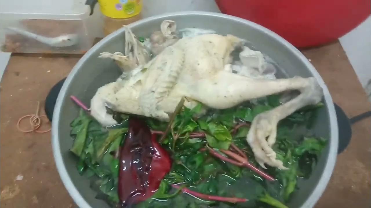 noj qaib tsaws tshuaj - YouTube